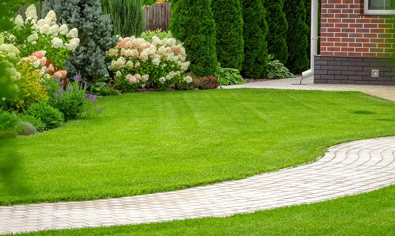 Gazonul – Tot ce trebuie sa stii despre plantare, fertilizare si ...